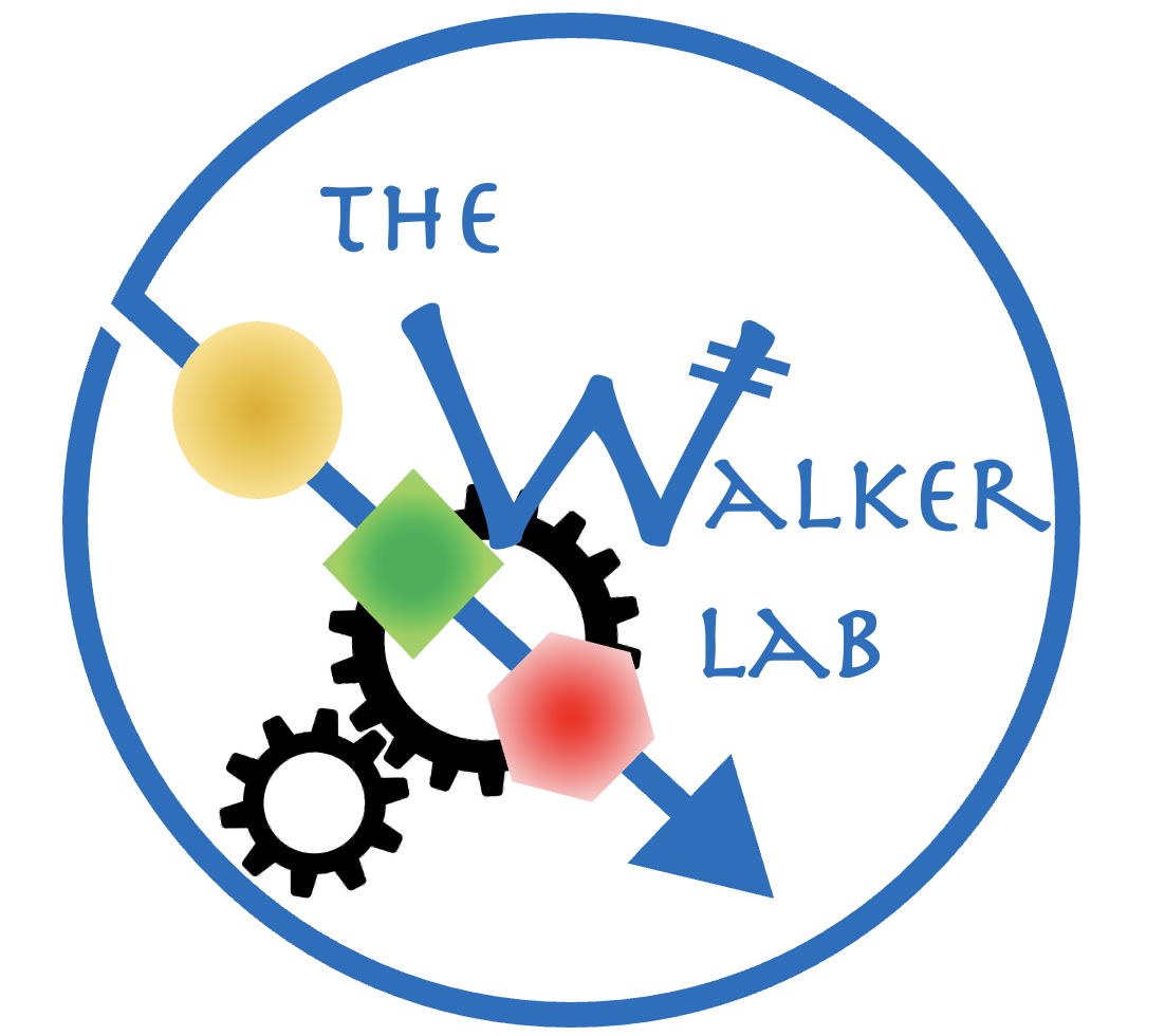 Home - The Walker Lab – Syracuse University